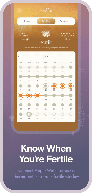 The 28 Wellness Collective - 28